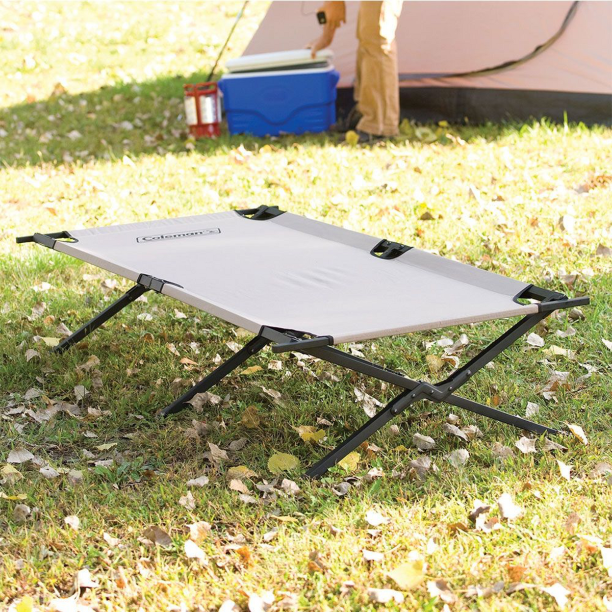 Coleman foldable cot store